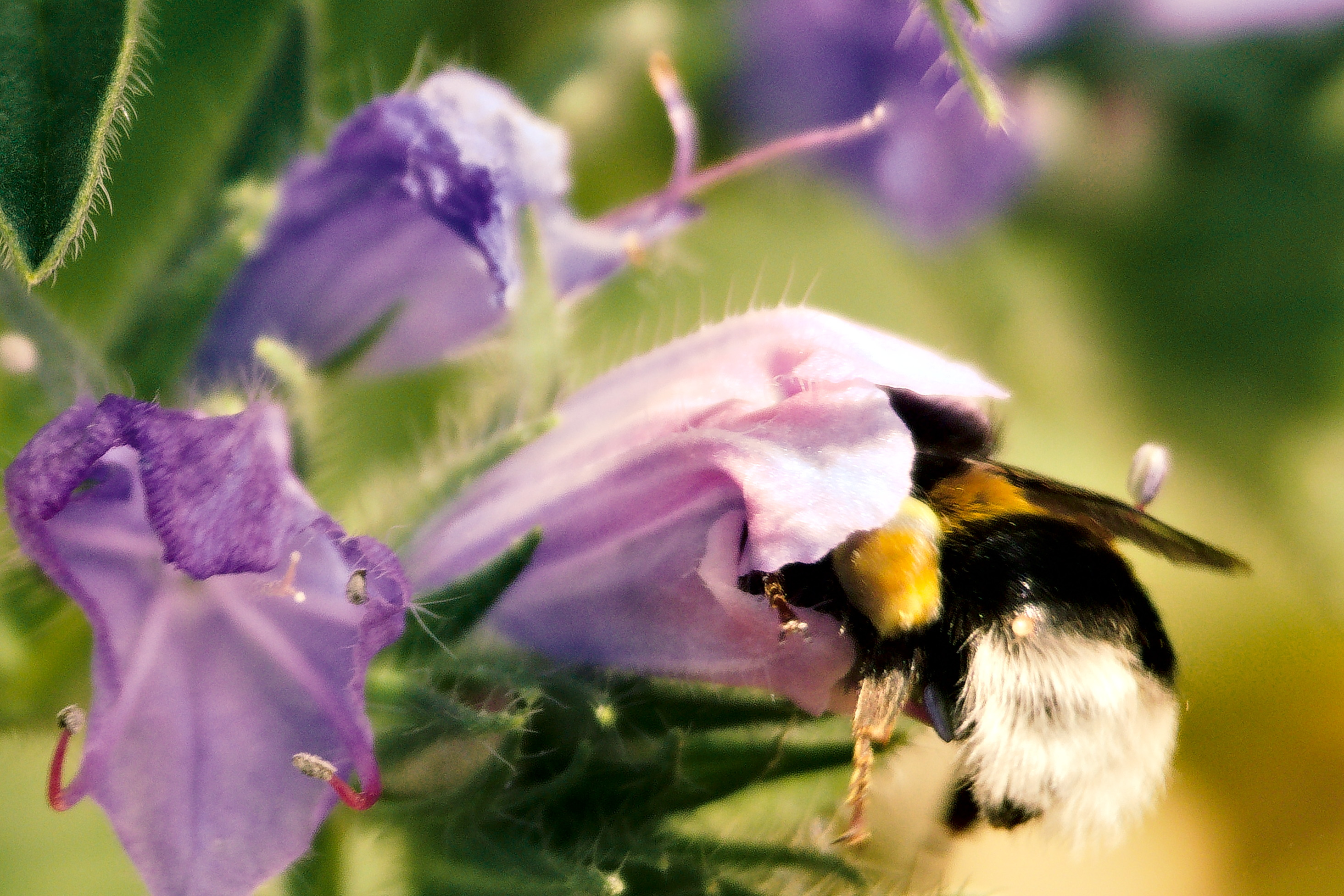 Pasting decals in Three JS | Wunderdev